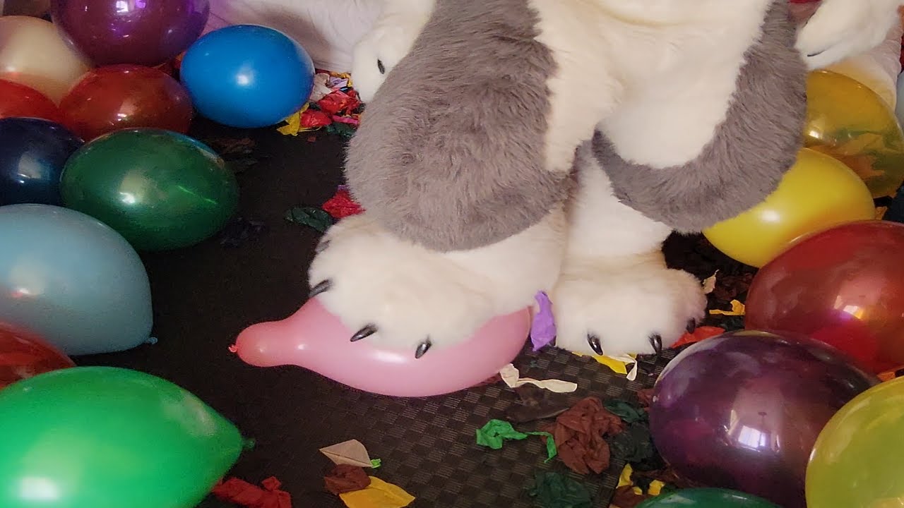 Stomp and squeeze popping 12''-14'' balloons - YouTube