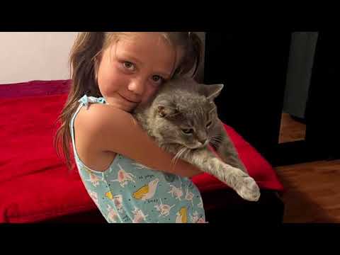 UKRAINE CAT RETURNS TO A 10yo HOUSTON GIRL