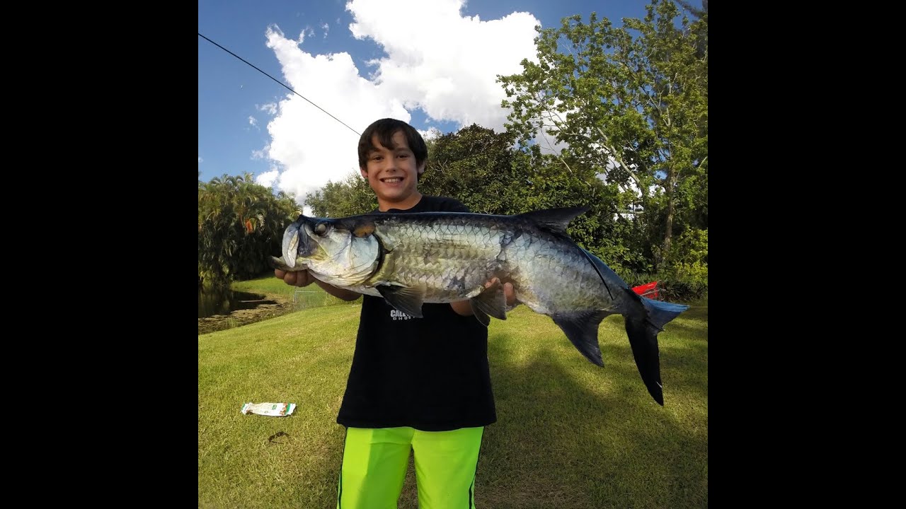 Little Kid Catches Tarpon in Freshwater - YouTube
