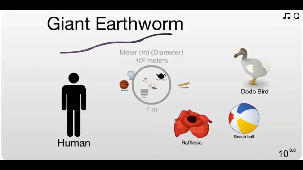 Smallest to Largest things of the Universe. - YouTube