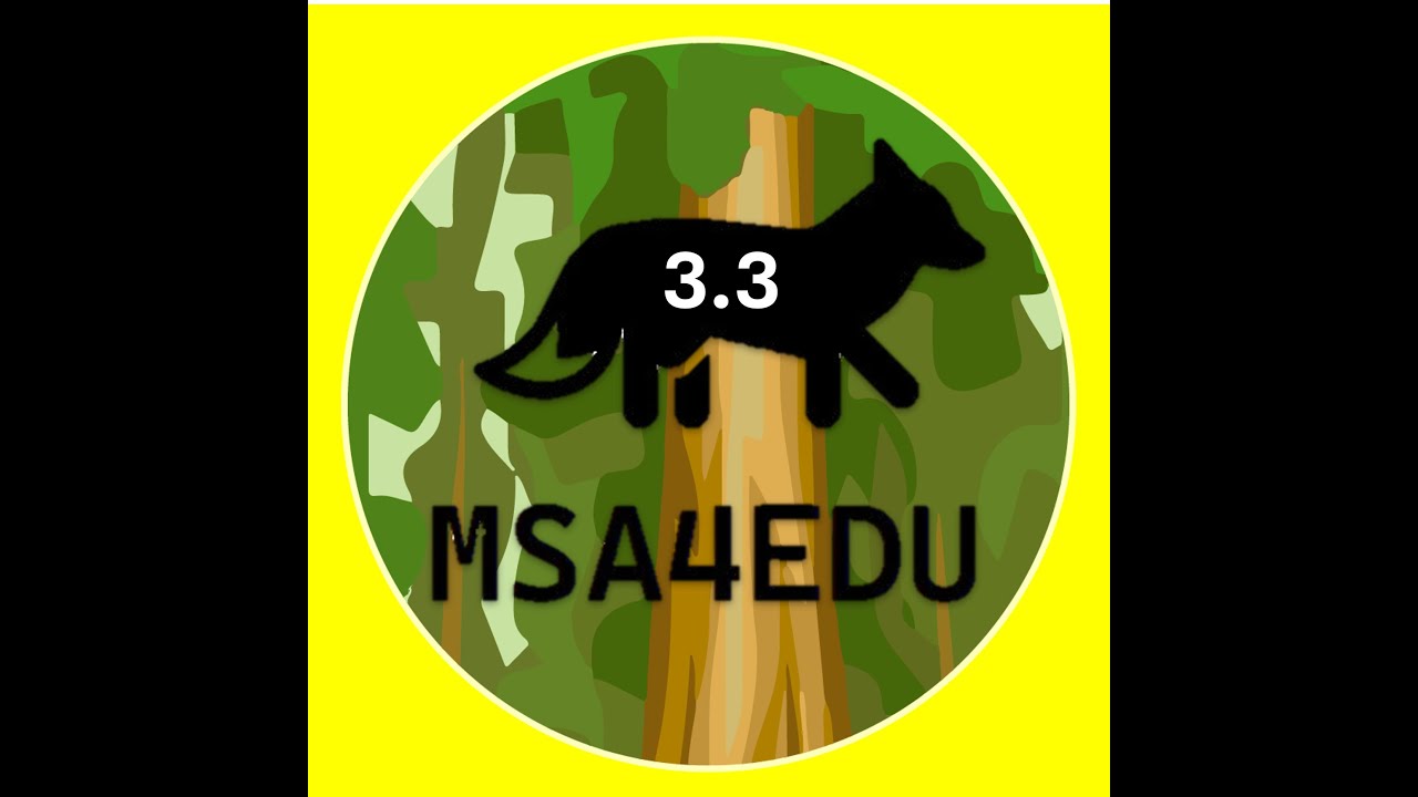 Alg 1 - 3.3 Linear Functions - YouTube