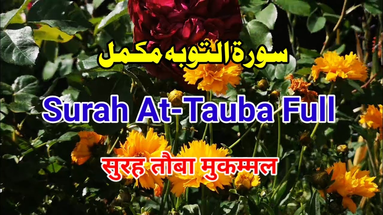 009 Surah At Tauba Full स रह त ब म कम मल