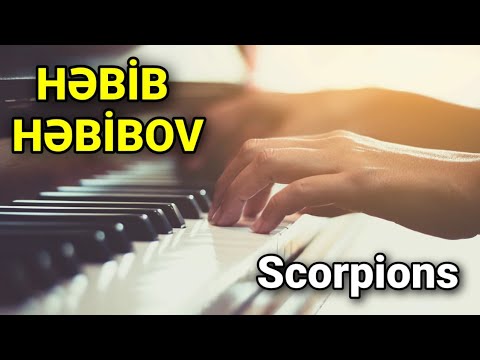 Hebib Hebibov - Scorpions