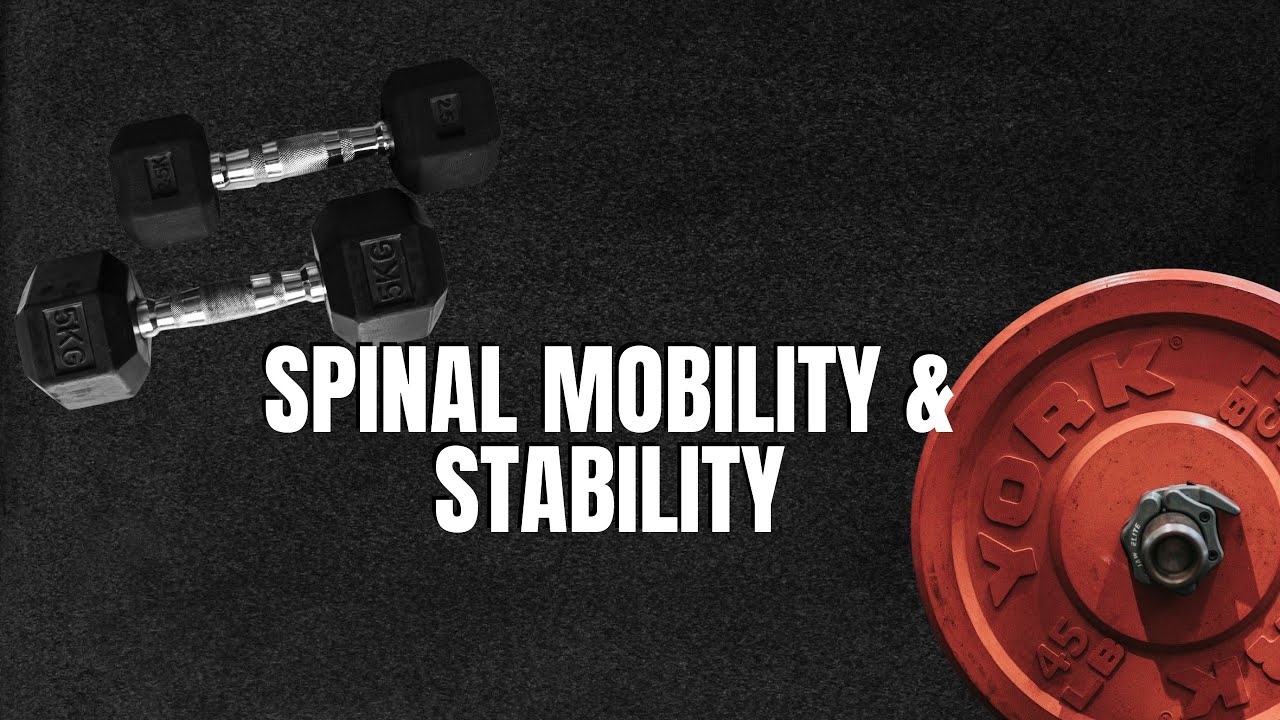 SPINAL MOBILITY & STABILITY - YouTube