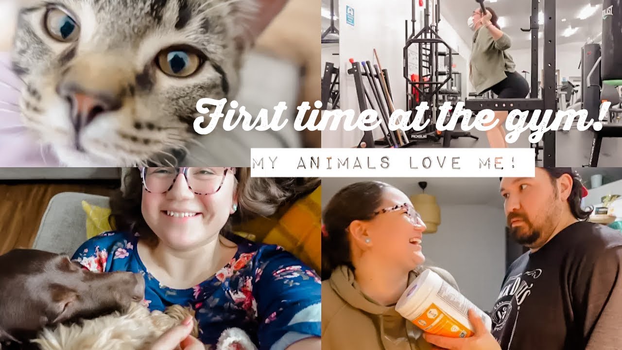 First time at the gym! | My animals love me! - YouTube