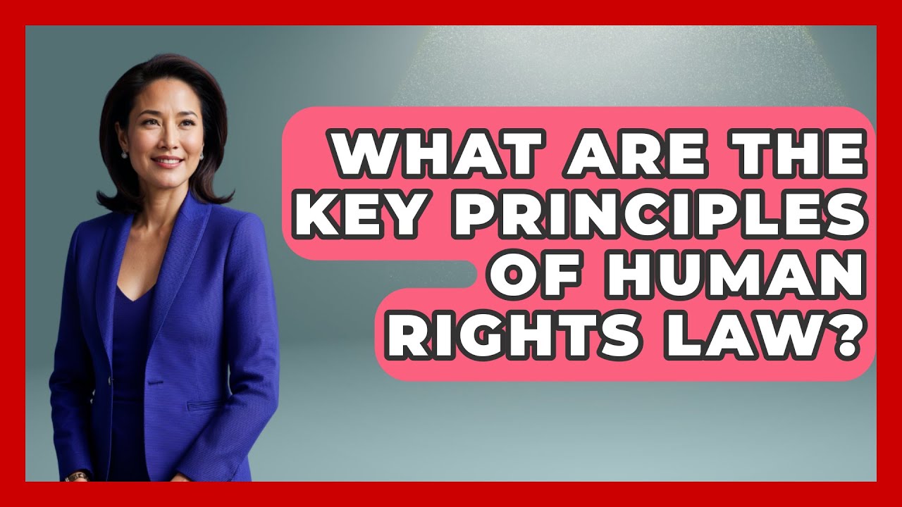 What Are the Key Principles of Human Rights Law? | We Are Liberal - YouTube
