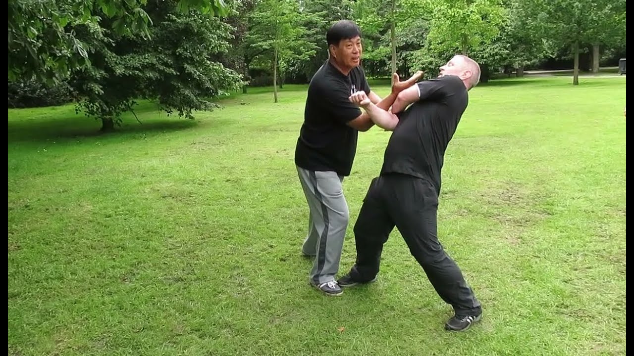 Fighting Arts - Yin Style Bagua - Piercing Attacks - YouTube