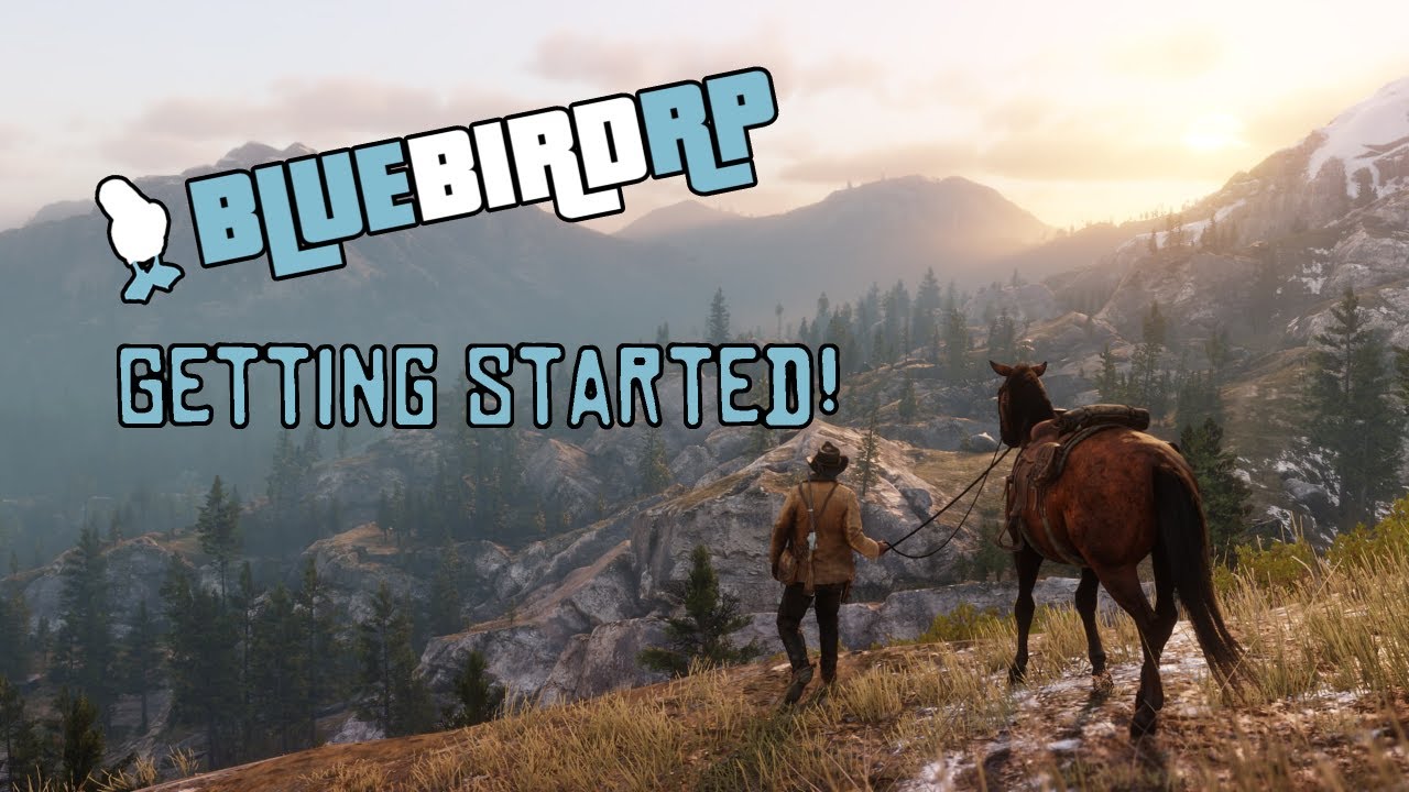 BlueBirdRP Getting started in the server - YouTube