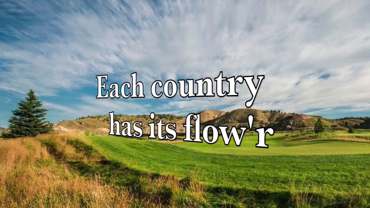 Montana state song - YouTube