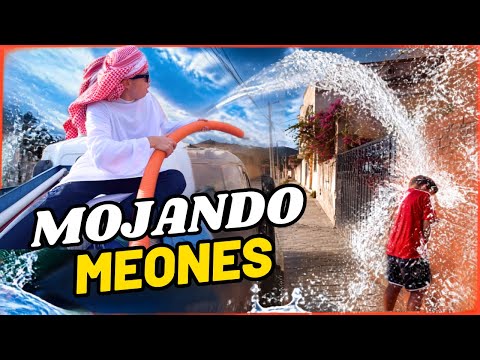Moje Gente Meona 💦 // Pablin