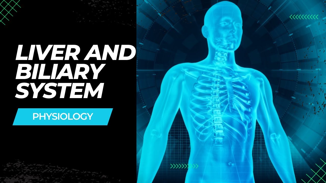 Liver and biliary system - Functional anatomy &functions of liver and ...