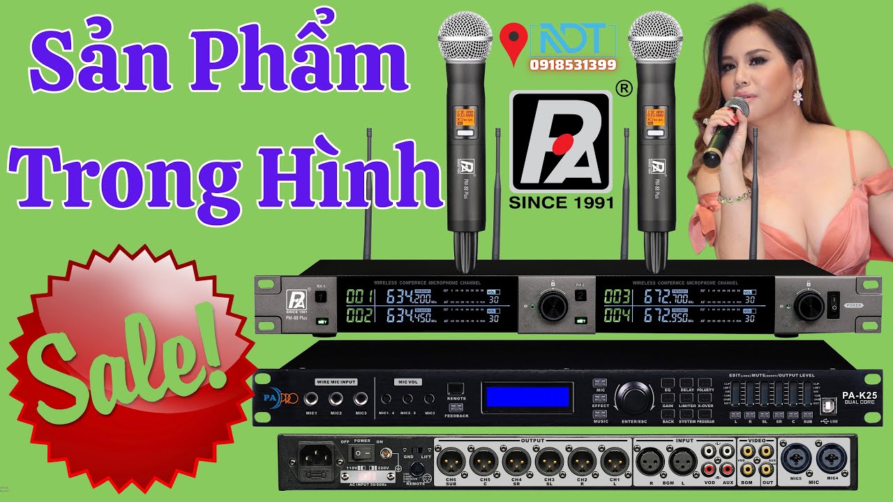 Khuyến Mãi Micro Paudio PM88 Plus Và Vang Số PA-K25 Ngày 18/02/2025 ...