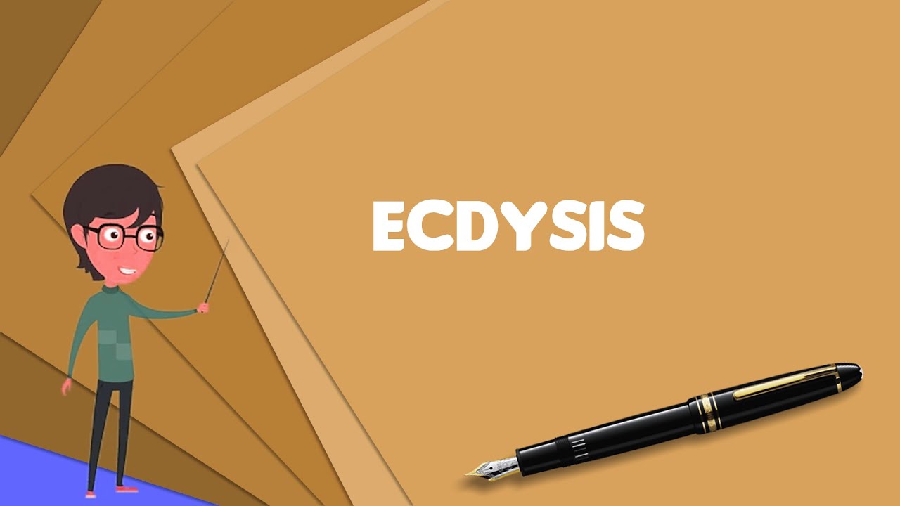 What is Ecdysis? Explain Ecdysis, Define Ecdysis, Meaning of Ecdysis ...
