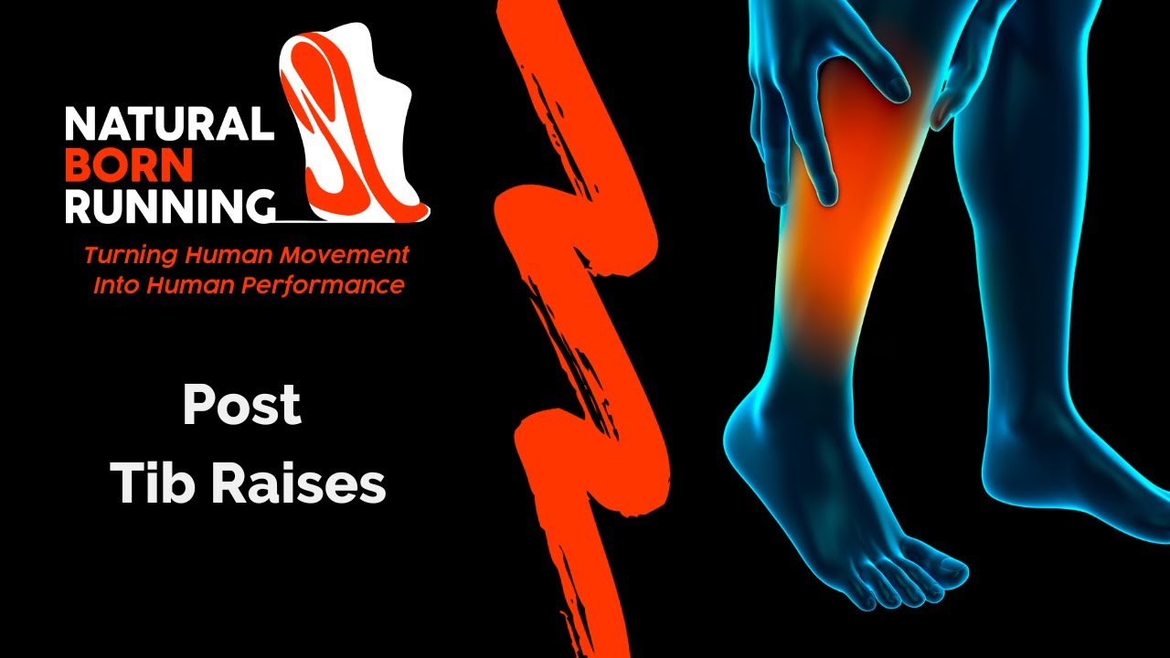 Post Tib Raises - Fix Shin Splints WIth This Hidden Muscle - YouTube