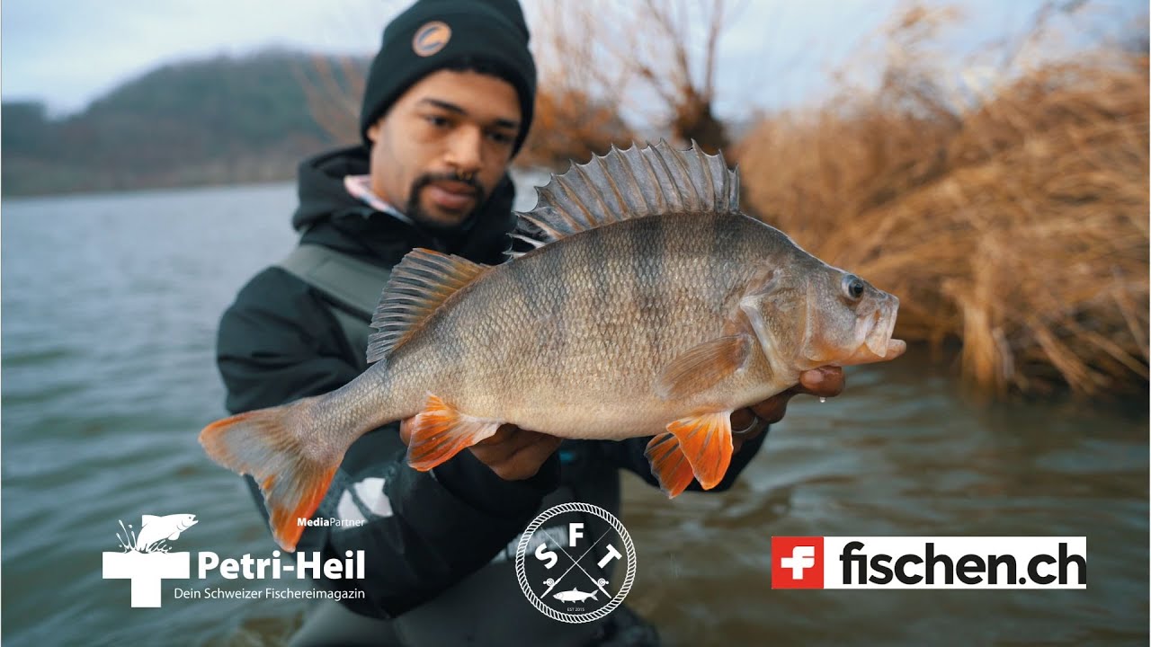 Winter Time is BIG PERCH Time! / Swiss Fishing Team - YouTube
