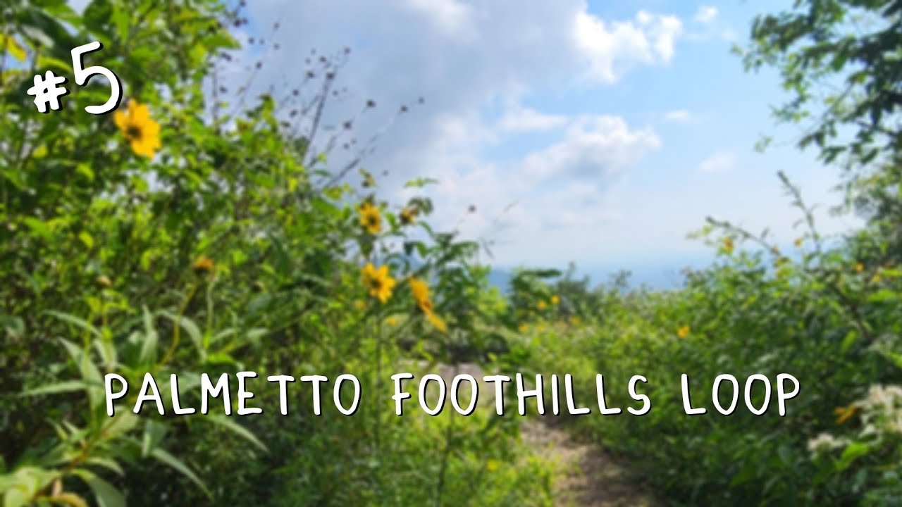 Palmetto Foothills Trail Loop - Trip Planning Series #5 - YouTube