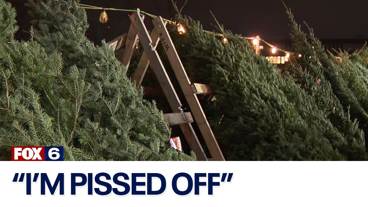 Milwaukee Christmas tree pickup to continue, Common Council says | FOX6 ...