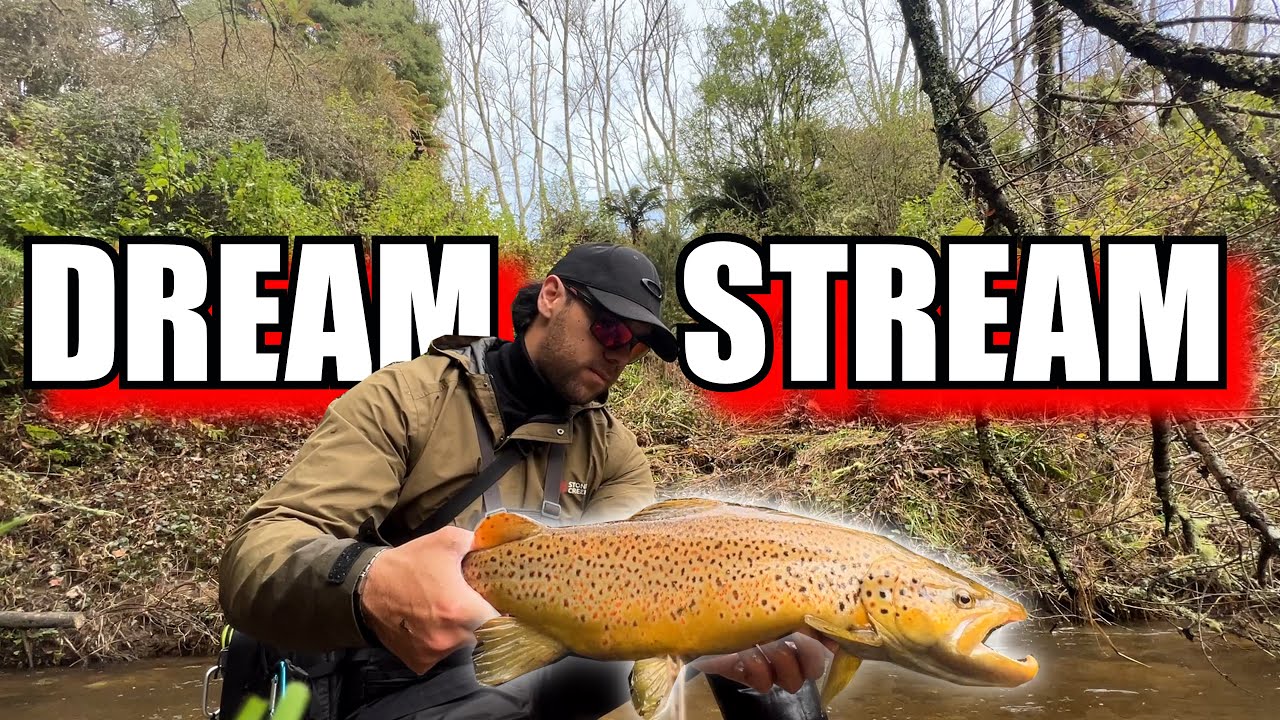I Found HUGE Trout in this Little Stream | Fly Fishing NZ - YouTube