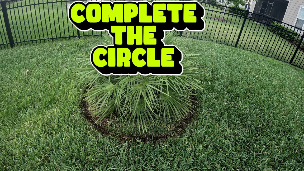 How To Cut Tree Rings - YouTube