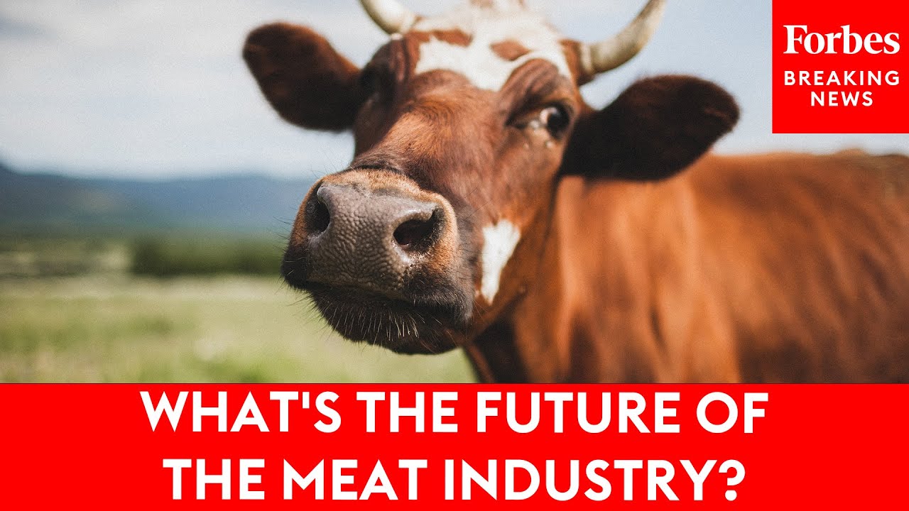 What's The Future Of The Meat Industry? - YouTube