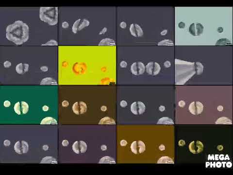 Peppa Pig Logo Effects Round 11 vs Eric Rogers - YouTube