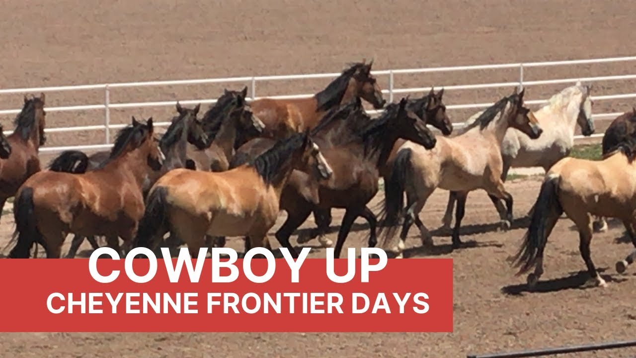COWBOY UP | Cheyenne Frontier Days | OUR FULL TIME RV JOURNEY - YouTube