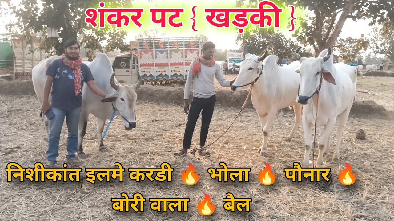 31000 पहला ईनाम { खड़की पट } निशीकांत इलमे करडी 🔥 भोला 🔥 पौनार 🔥 बोरी ...