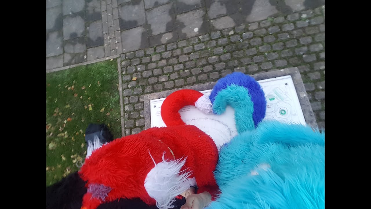 Blueberry Fox first outing 2019 - YouTube