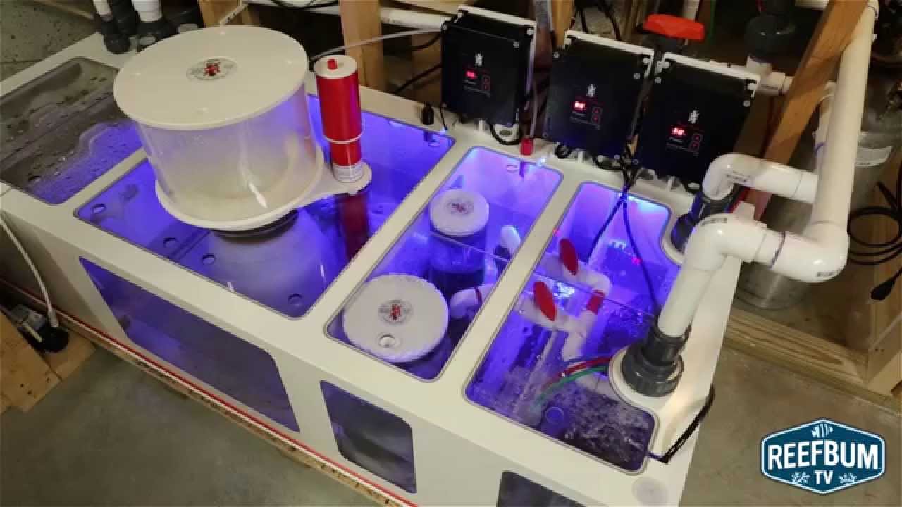 Oceanbox Designs Sump Sob The Best Sumps For Saltwater Aquariums
