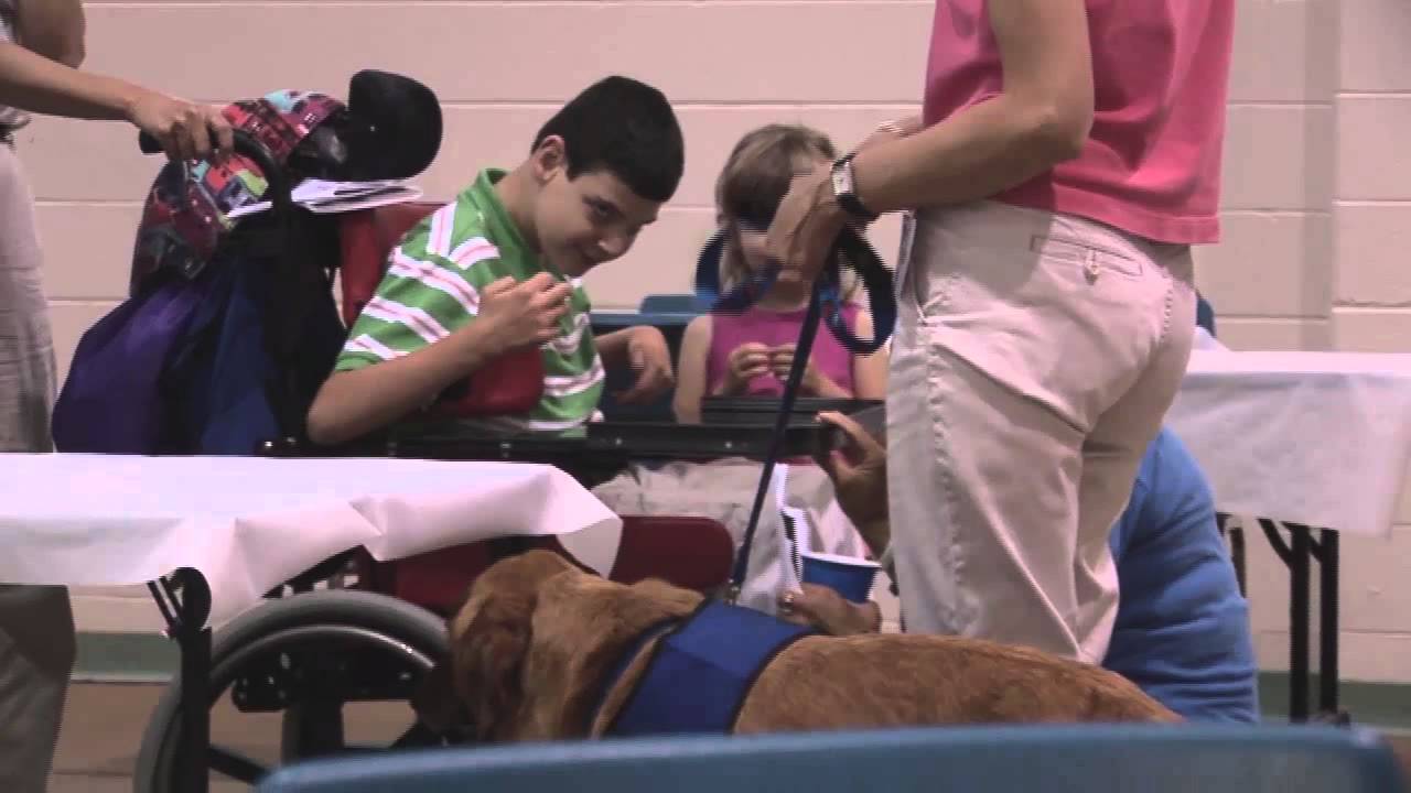 ICAN Dogs Help All - YouTube