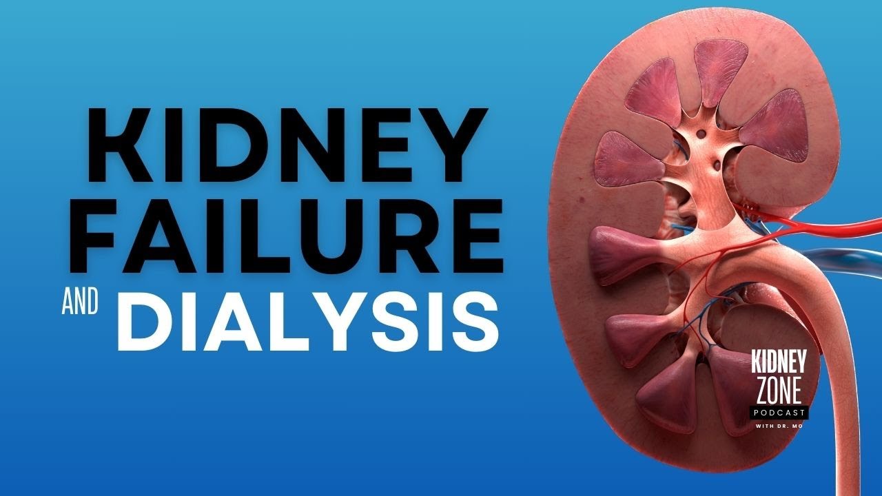 Kidney Failure and Dialysis: Explaining Treatment Options | Ep22 | # ...