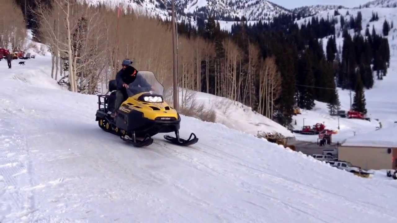 Dog being carried by snowmobile Utah - YouTube