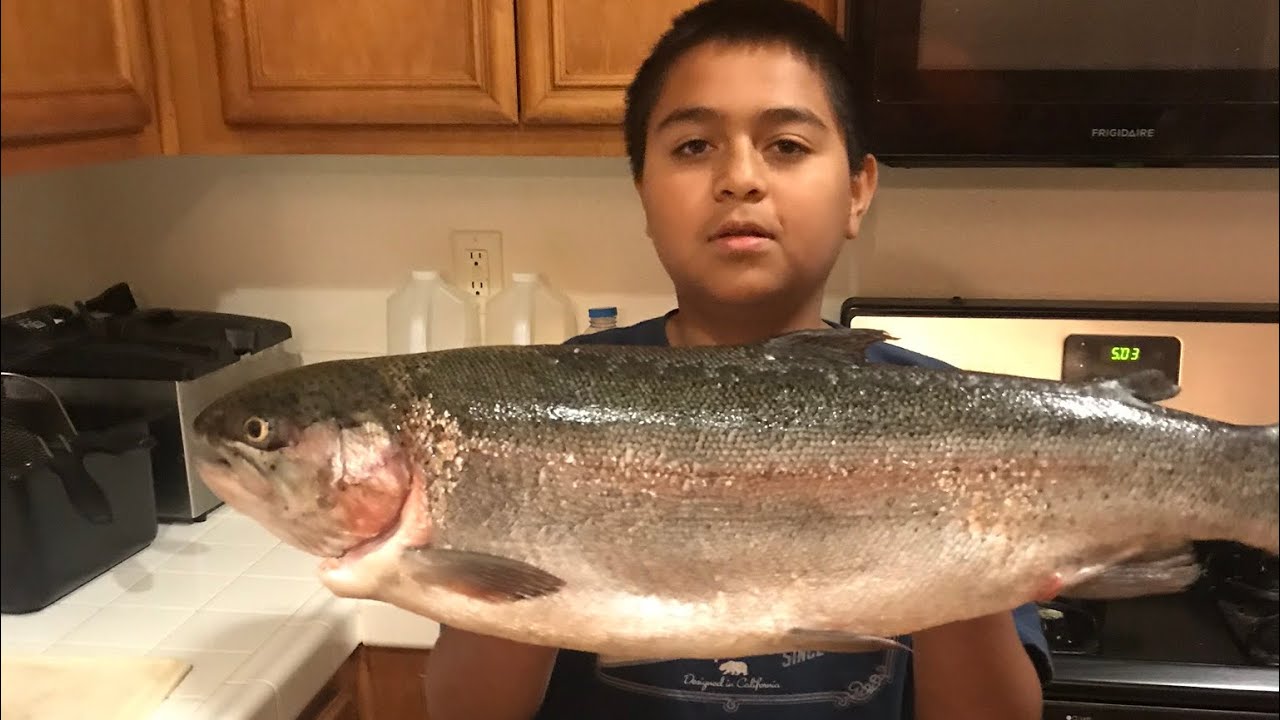 Mountain Lakes Fishing / 8 1/2 pound Trout Caught Dec,2017 Lytle Creek ...