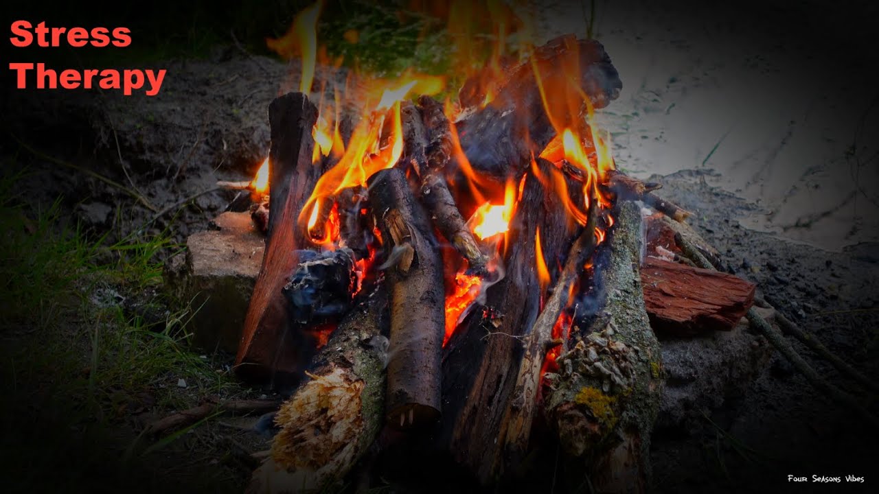 💧3 hours 4K UHD video of Relaxing Cracking Fire Camp Video 💧 ASMR💧 ...