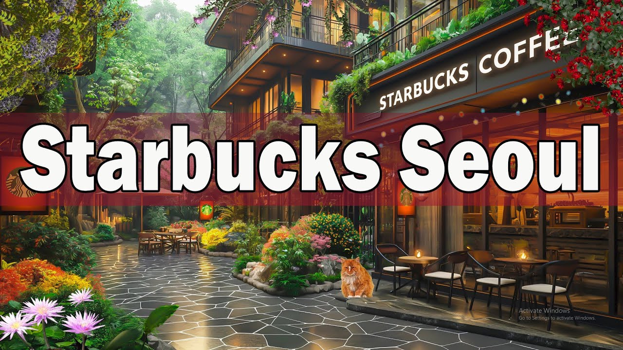 Seoul Starbucks Store Atmosphere - 8월 최고의 스타벅스 음악 컬렉션 - 공부, 일, 휴식을위한 ...