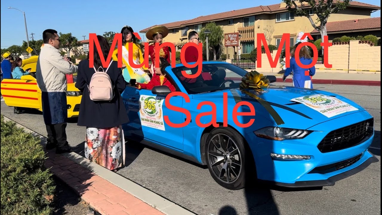 02-10-2024 Mùng Một Sale Đặc Biệt | Tiên Đan | Ngọc Hồ | S365 Nhân Sâm ...