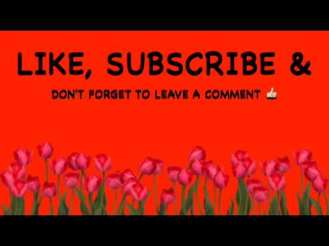 Adele, Chasing Pavements - Chipmunk Version - YouTube