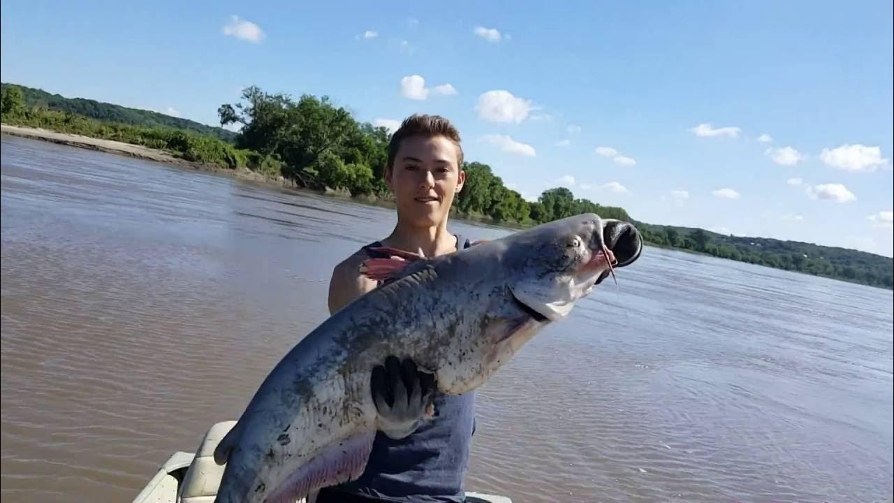Trotline Fishing for Catfish - Catfishing with Bluegill and Cut Bait - Missouri River 2016 - YouTube