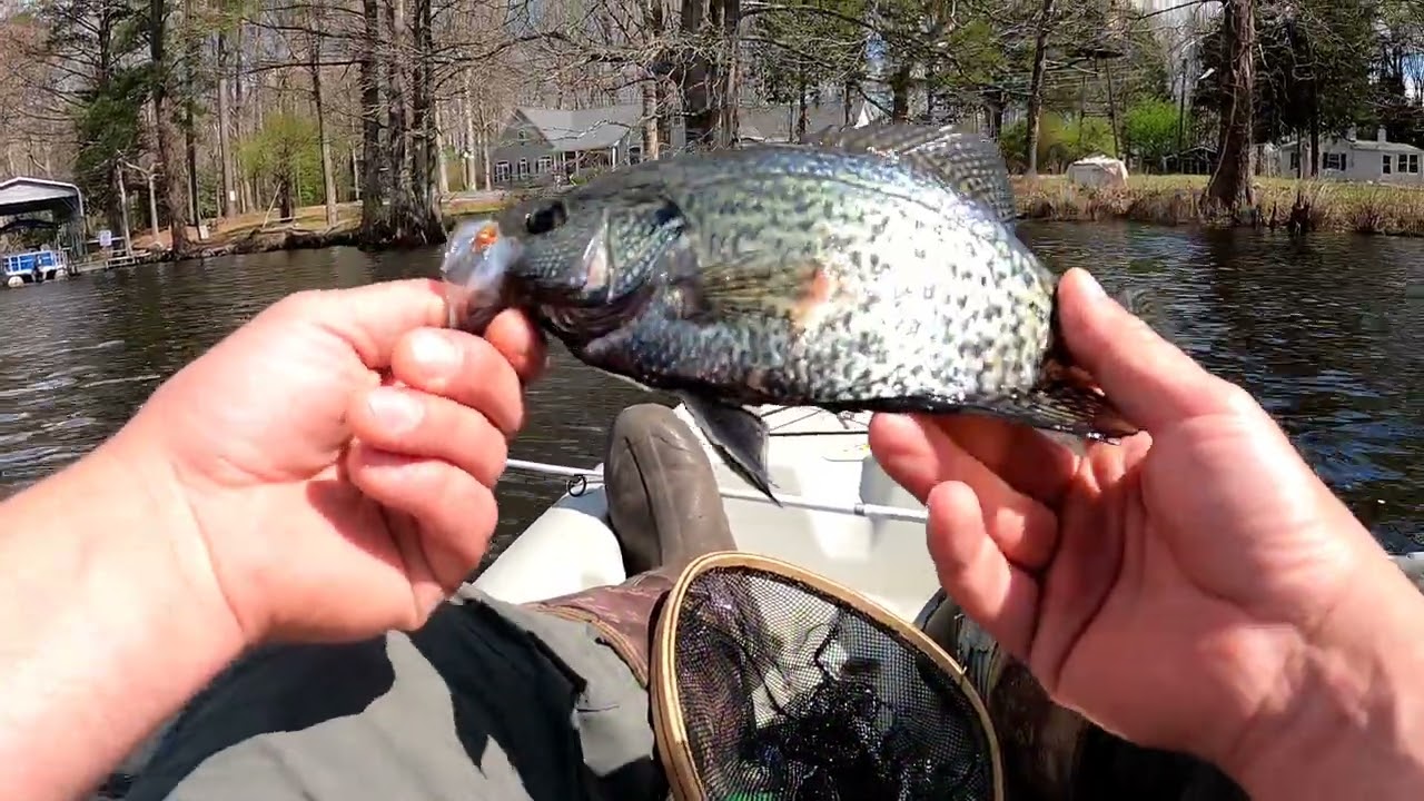 Catching Stringers of Spring Crappie on Chickahominy Lake: Kayak ...
