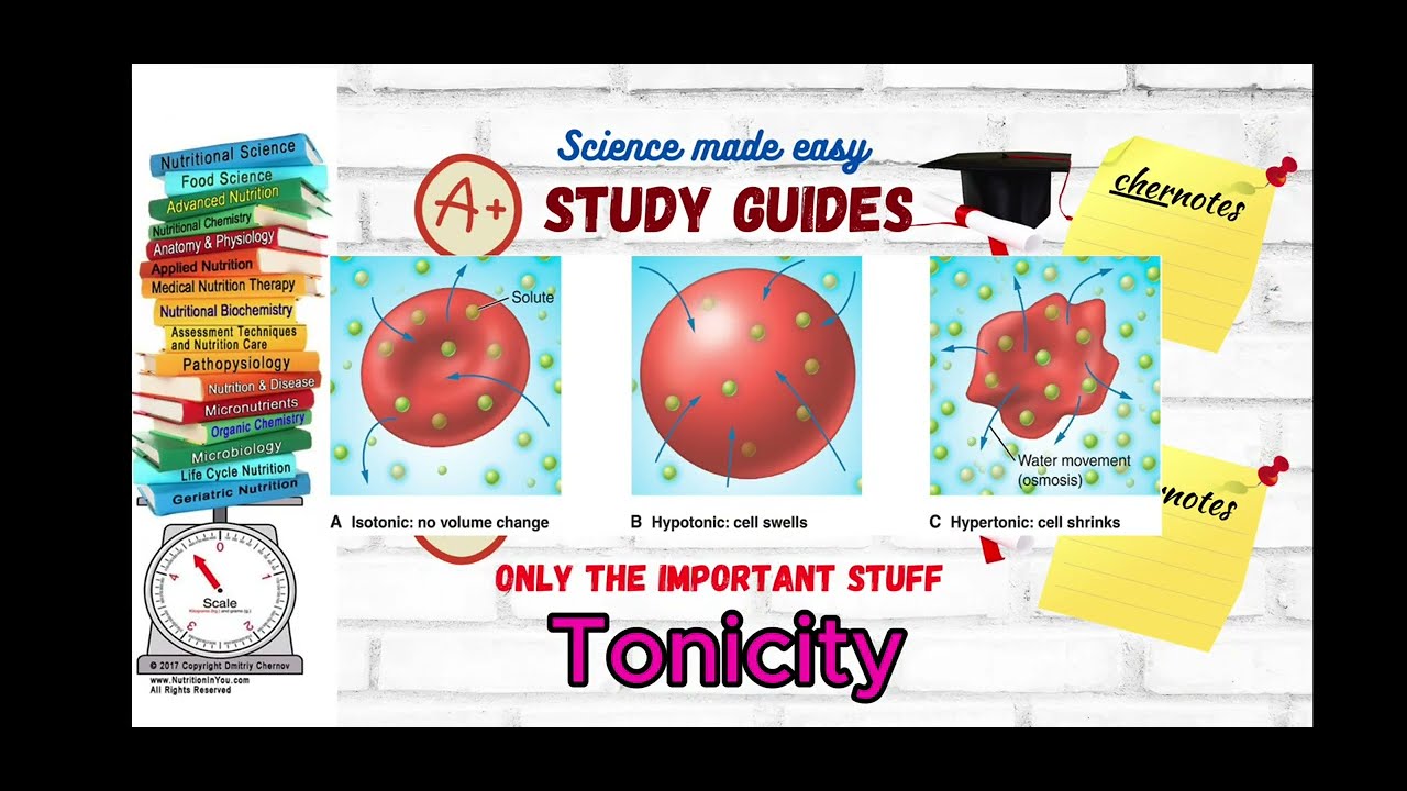 Mastering Tonicity and Osmosis: Simplified Concepts for Students - YouTube