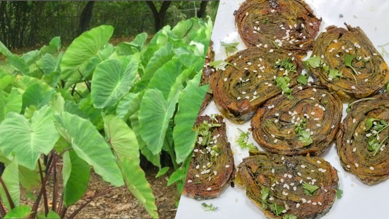 अरबी के पत्तों के स्वादिष्ट रिकवच / पकौड़े | Tasty Arbi Leaves Pakoras ...