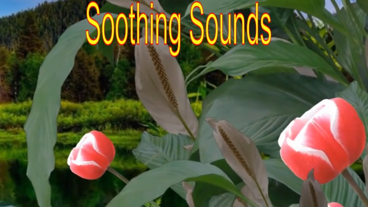 Relaxing Music with an Incredible Natural Landscape 5 - YouTube