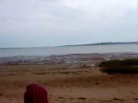 Dobby's Death Harry Potter and the Deathly Hallows part 1 - YouTube