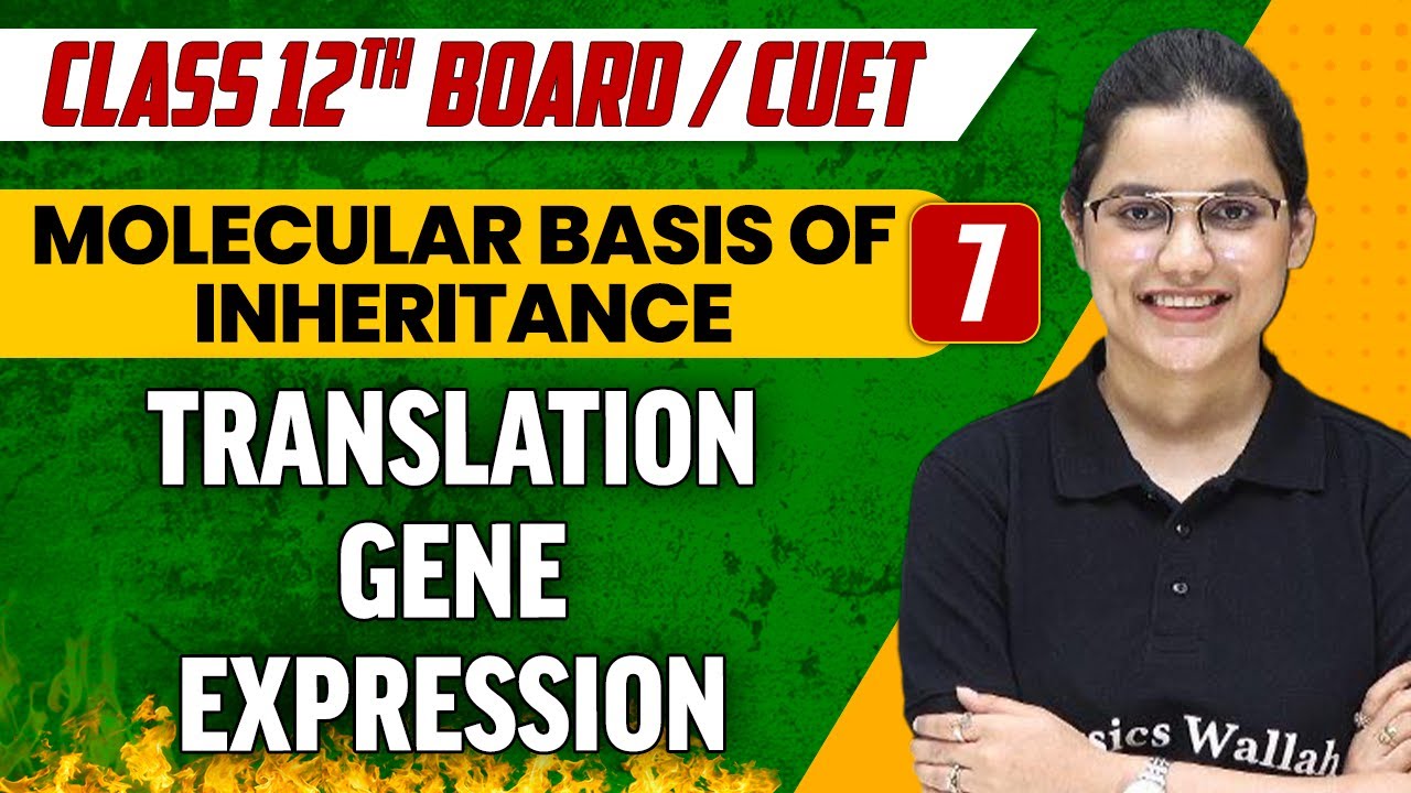 Molecular Basis of Inheritance 07 | Translation Gene Expression | Class ...