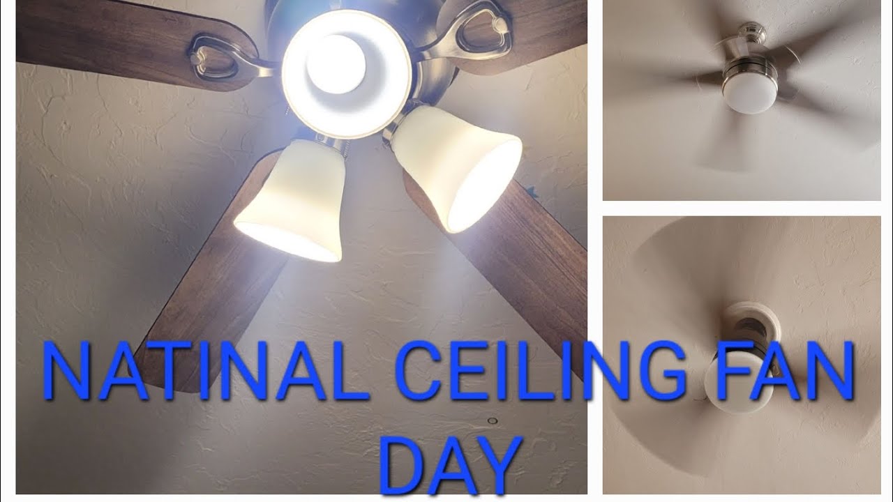 National Ceiling Fan Day - YouTube