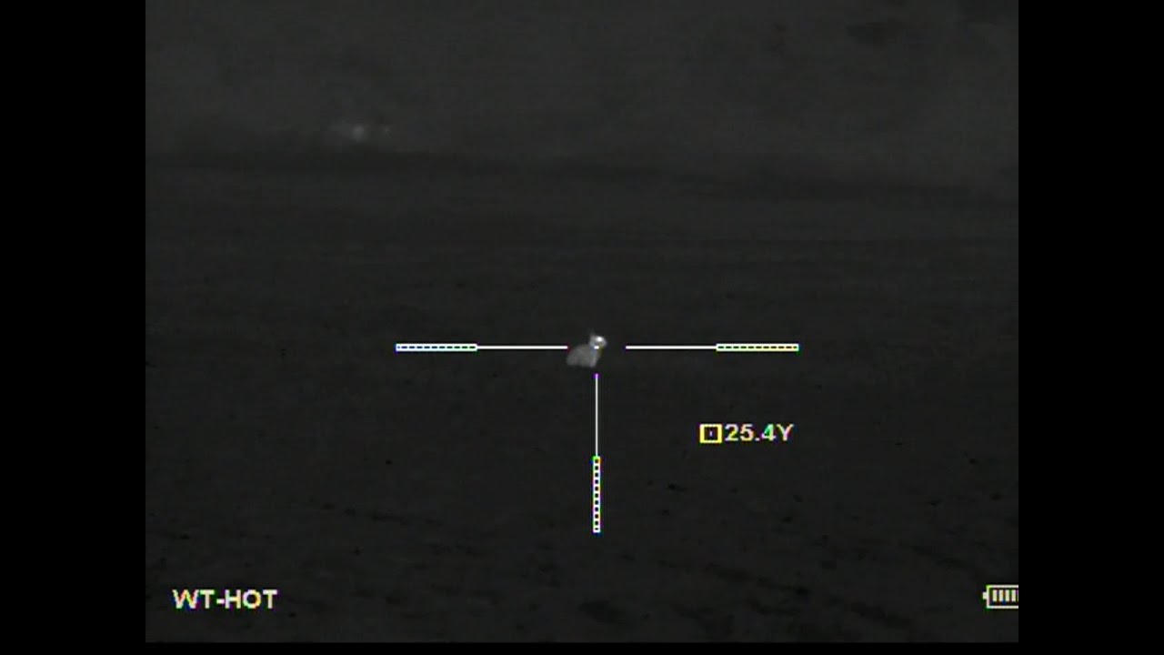 Thermal Hunting: Crop protection with the 22LR Pard SA45 LRF rifle scope - YouTube