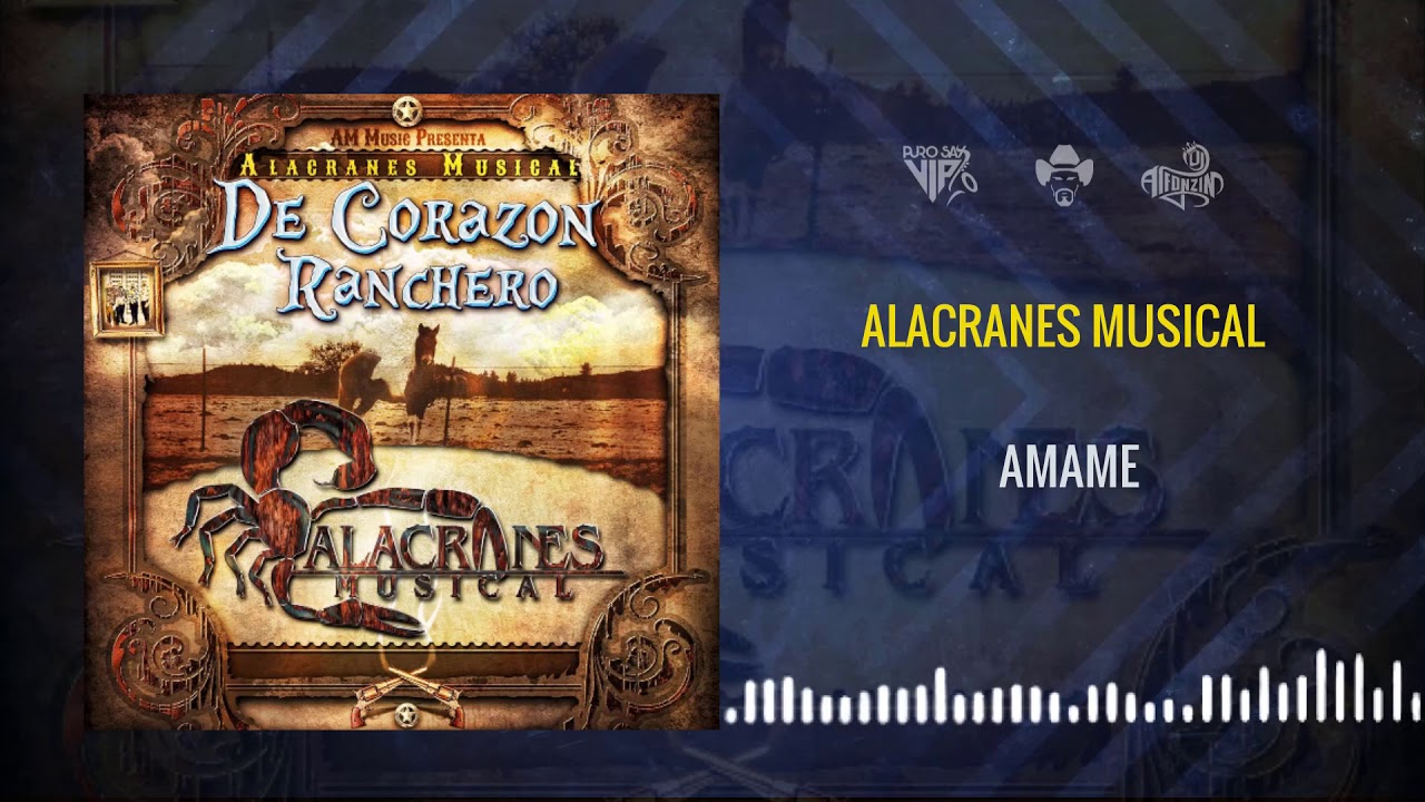 Alacranes Musical - Ámame / 2021 - YouTube