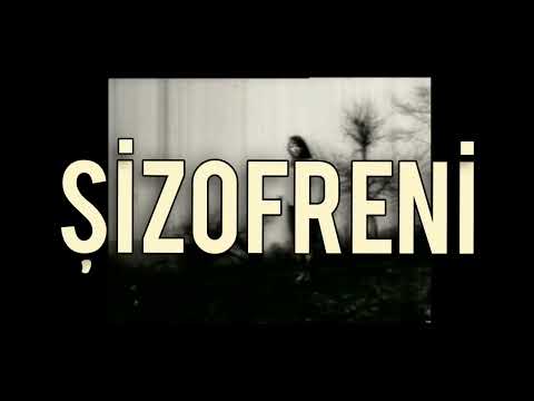 Şizofreni (Duygu, Düşünce ve Algı Bozukluğu) | Hebefrenik, Paranoid, Katatonik