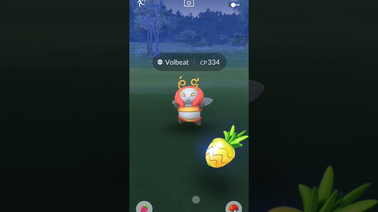 how to catch assist of your buddy (Pokemon go) - YouTube