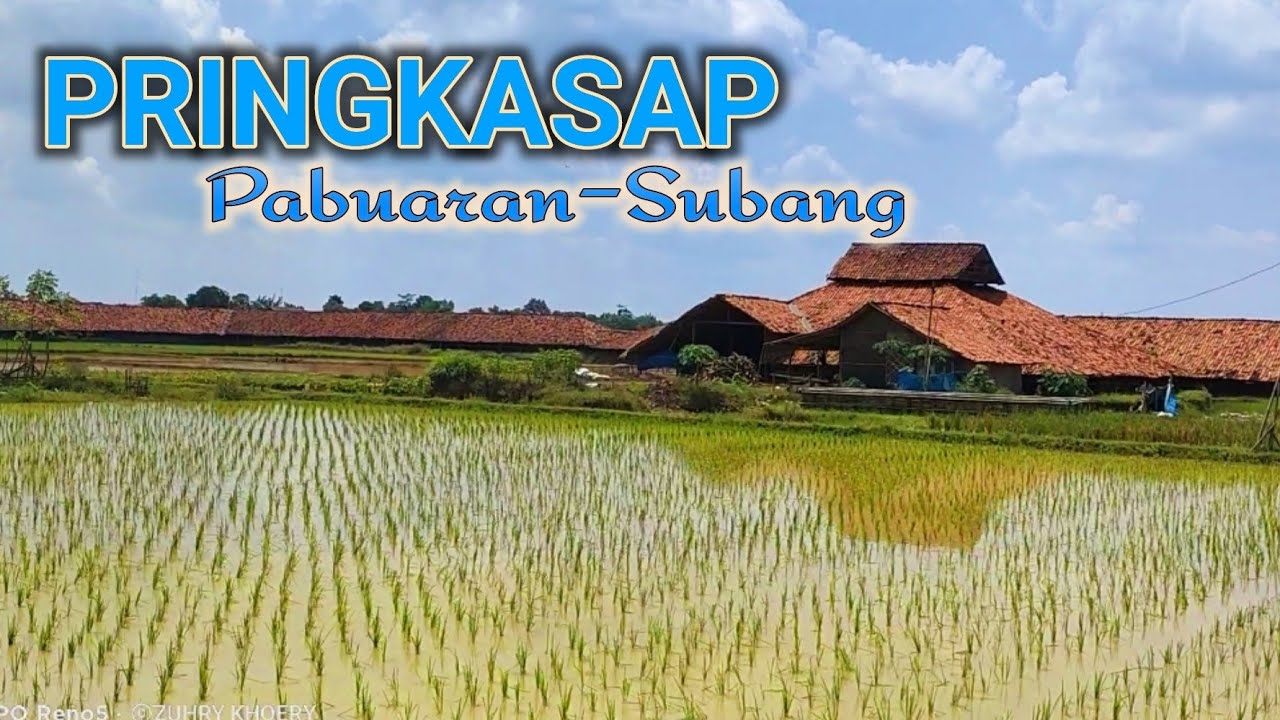 DESA PRINGKASAP,PABUARAN SUBANG || LINTAS DESA - YouTube